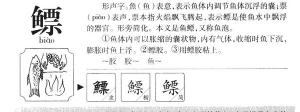 鱼鳔读音是什么_鱼鳔怎么读才标准-第1张图片-山城妙识
