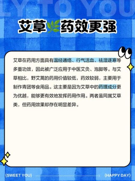 艾蒿和艾草是一种吗_区别与功效对比-第3张图片-山城妙识