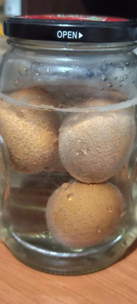 醋泡鸡蛋的正确做法_醋泡鸡蛋真的能降血压吗-第1张图片-山城妙识