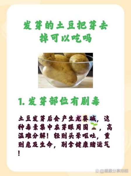 土豆刚冒一点芽能吃吗_土豆发芽怎么处理-第2张图片-山城妙识