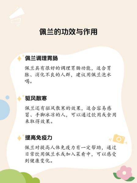 佩兰的功效与作用是什么_佩兰主治哪些疾病-第2张图片-山城妙识