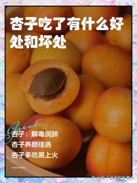 新鲜杏子的功效与作用_吃杏子会上火吗-第1张图片-山城妙识