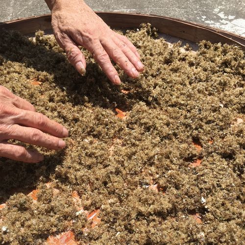 洋菜膏的功效与作用_洋菜膏怎么吃最好-第2张图片-山城妙识 洋菜膏的功效与作用_洋菜膏怎么吃最好-第2张图片-山城妙识