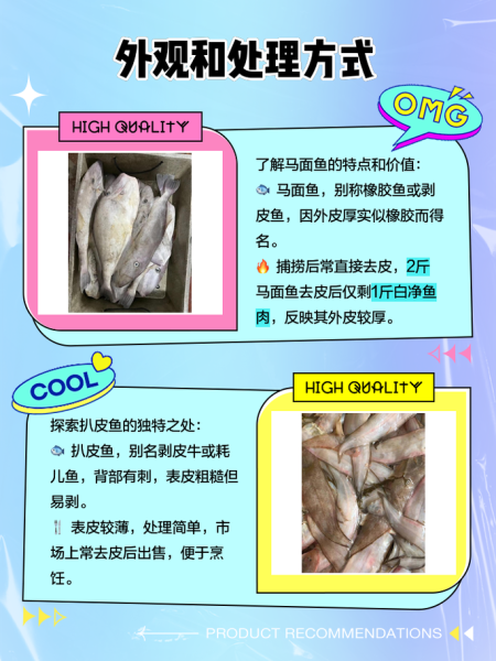 扒皮鱼是耗儿鱼吗_两者区别与选购指南-第3张图片-山城妙识