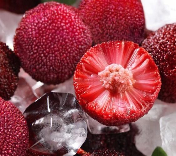 冰冻了的杨梅怎么处理_解冻后还能吃吗-第2张图片-山城妙识