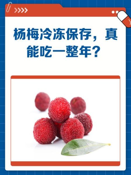 冰冻了的杨梅怎么处理_解冻后还能吃吗-第3张图片-山城妙识