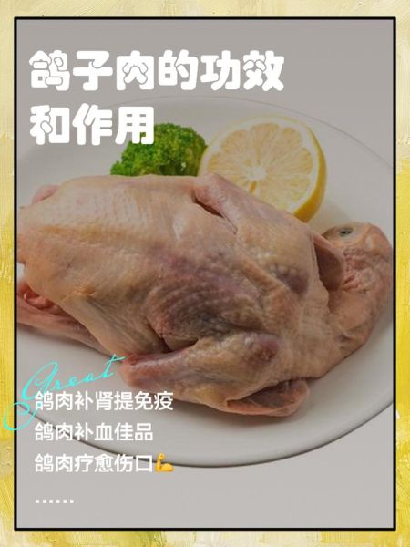 鸽子肉怎么做好吃_鸽子肉营养价值高吗-第1张图片-山城妙识