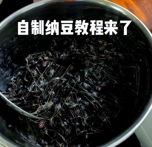 日本纳豆怎么制作_传统纳豆做法步骤-第3张图片-山城妙识