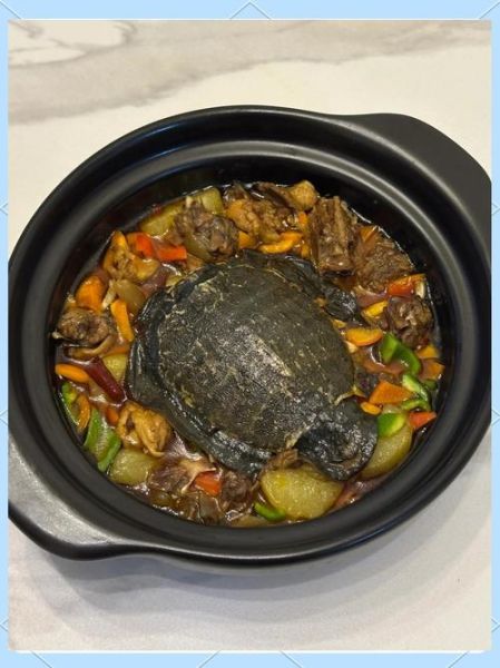 杀甲鱼最忌讳什么_甲鱼怎么杀才正确-第2张图片-山城妙识