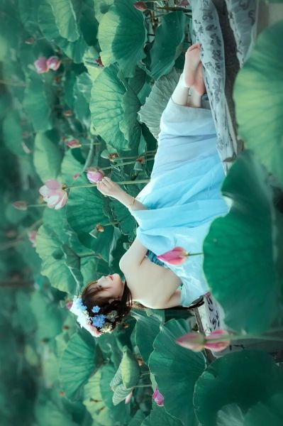 莲花图片唯美_如何拍出仙气感-第2张图片-山城妙识