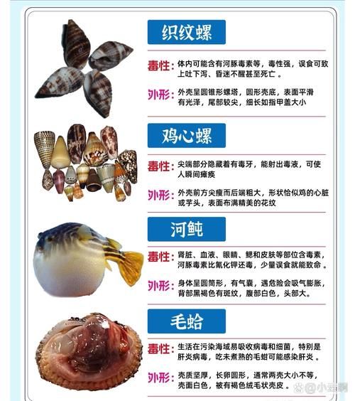 十大有毒螺有哪些_毒性排名-第1张图片-山城妙识