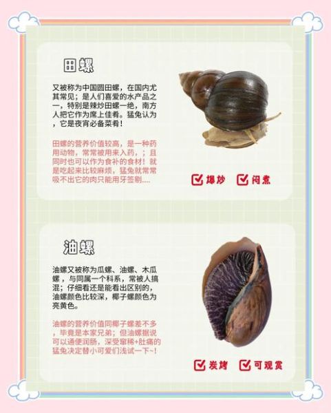 十大有毒螺有哪些_毒性排名-第2张图片-山城妙识