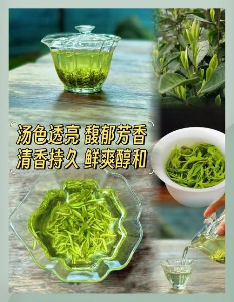 六安瓜片属于什么档次_六安瓜片什么价位算高端-第1张图片-山城妙识 六安瓜片属于什么档次_六安瓜片什么价位算高端-第1张图片-山城妙识