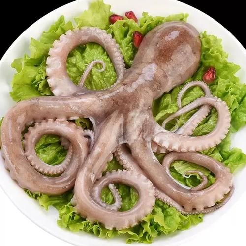 八爪鱼怎么清洗_八爪鱼清洗内脏步骤-第3张图片-山城妙识 八爪鱼怎么清洗_八爪鱼清洗内脏步骤-第3张图片-山城妙识