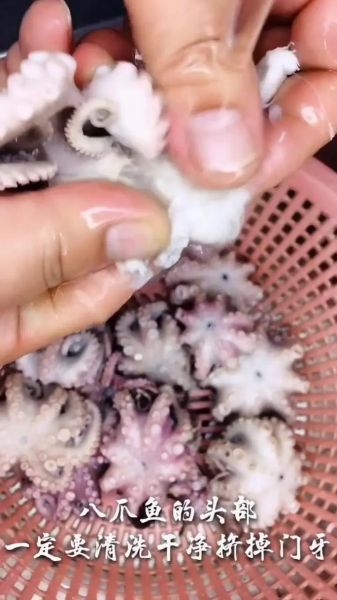八爪鱼怎么清洗_八爪鱼清洗内脏步骤-第2张图片-山城妙识 八爪鱼怎么清洗_八爪鱼清洗内脏步骤-第2张图片-山城妙识