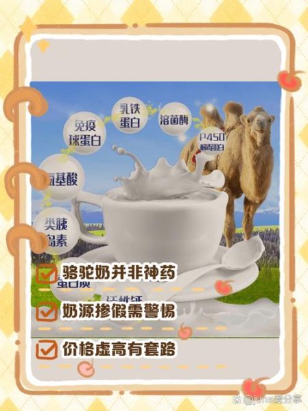 骆驼奶的功效和作用骗局_骆驼奶真的能治病吗-第1张图片-山城妙识