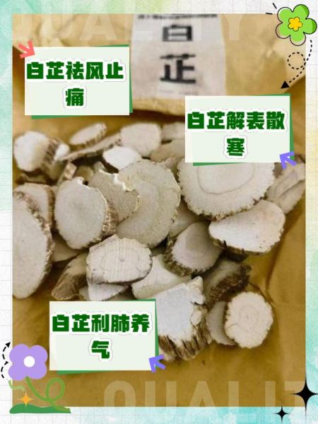 白芷的功效与作用禁忌症_白芷能长期吃吗-第2张图片-山城妙识