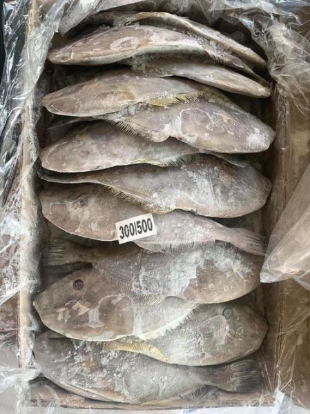 马面鱼是扒皮鱼吗_马面鱼和扒皮鱼的区别-第1张图片-山城妙识