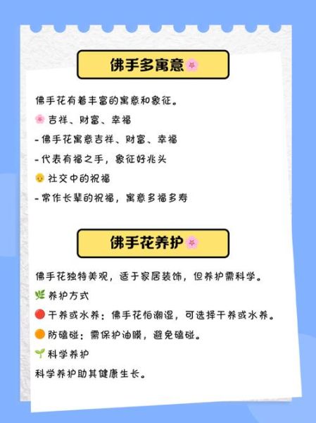 佛手花的功效与作用_佛手花的禁忌有哪些-第2张图片-山城妙识