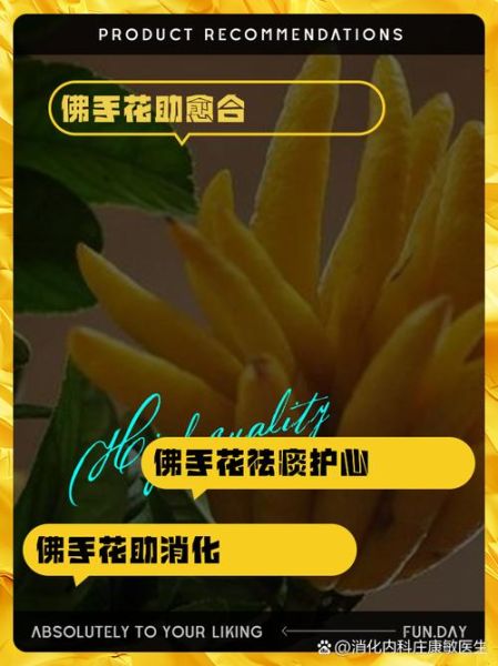 佛手花的功效与作用_佛手花的禁忌有哪些-第3张图片-山城妙识