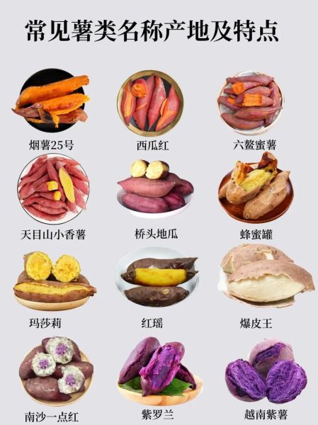 食物名称大全_有哪些常见分类-第1张图片-山城妙识