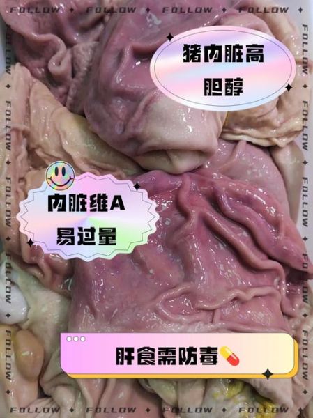 猪内脏有哪些_猪内脏营养价值高吗-第2张图片-山城妙识