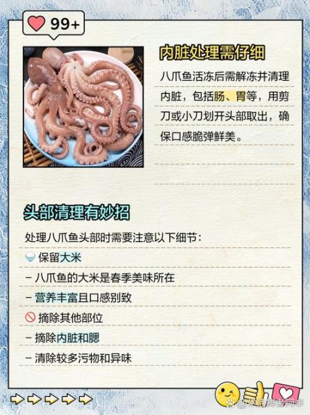 小八爪鱼怎么清洗_小八爪鱼清洗技巧-第2张图片-山城妙识 小八爪鱼怎么清洗_小八爪鱼清洗技巧-第2张图片-山城妙识