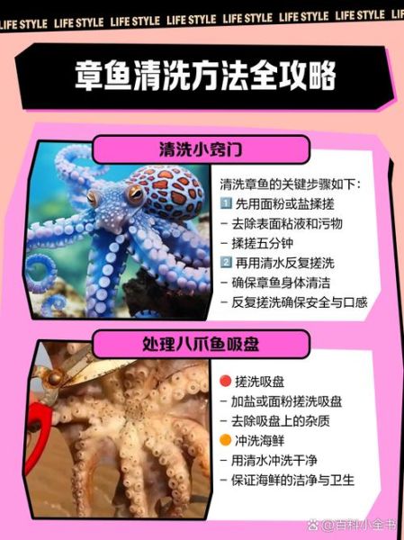 小八爪鱼怎么清洗_小八爪鱼清洗技巧-第1张图片-山城妙识 小八爪鱼怎么清洗_小八爪鱼清洗技巧-第1张图片-山城妙识