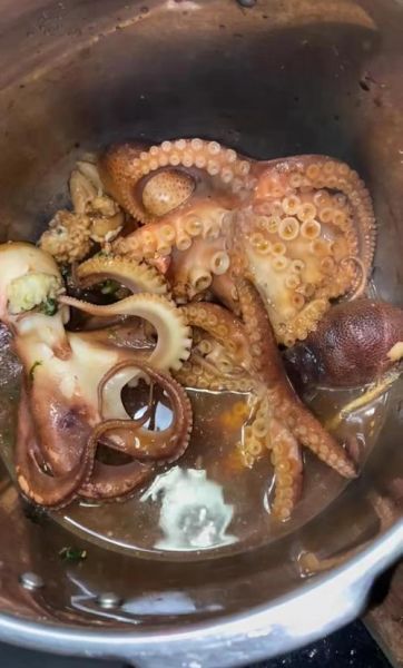 大章鱼怎么做好吃_大章鱼怎么清洗-第1张图片-山城妙识