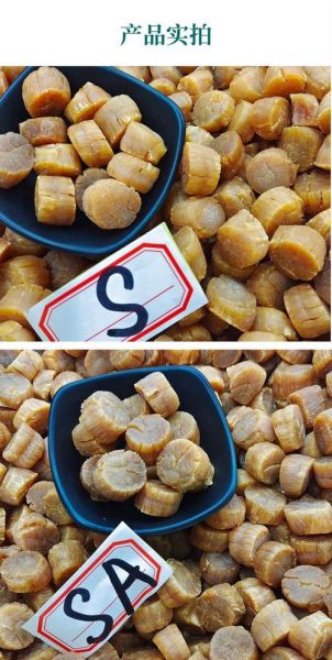 癌症病人能吃干贝吗_干贝对肿瘤的影响-第3张图片-山城妙识