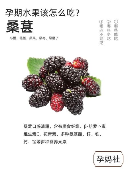 桑葚一天吃多少粒最好_吃多了会怎样-第2张图片-山城妙识 桑葚一天吃多少粒最好_吃多了会怎样-第2张图片-山城妙识