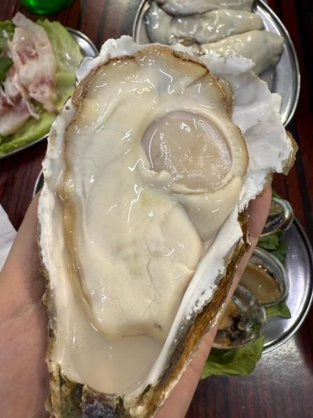吃生蚝壮阳吗_生蚝壮阳真相-第1张图片-山城妙识