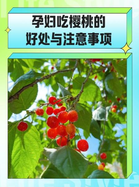 孕妇能吃樱桃吗_孕妇吃樱桃的好处与禁忌-第3张图片-山城妙识