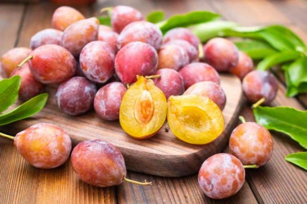 经常便秘吃什么好_便秘吃什么最快排便-第2张图片-山城妙识 经常便秘吃什么好_便秘吃什么最快排便-第2张图片-山城妙识