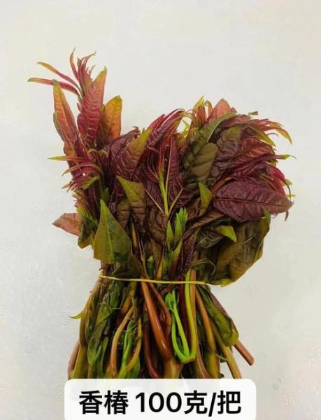 香椿花怎么吃最好_香椿花做法大全-第1张图片-山城妙识