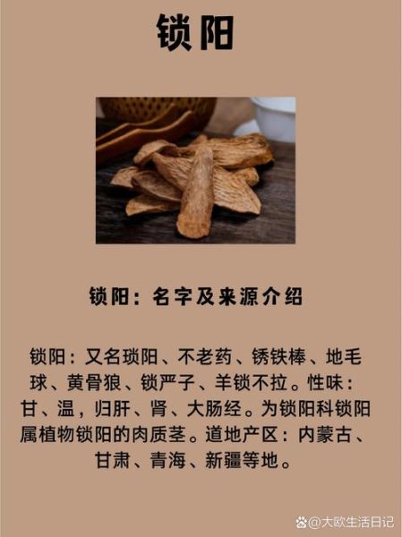 锁阳的功效与作用_锁阳怎么吃效果最好-第2张图片-山城妙识