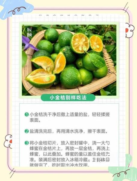 青桔子的功效与作用_青桔子能减肥吗-第2张图片-山城妙识 青桔子的功效与作用_青桔子能减肥吗-第2张图片-山城妙识