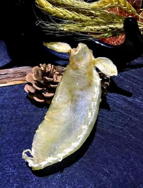 黄唇鱼胶多少钱一斤_黄唇鱼胶真假怎么辨别-第3张图片-山城妙识