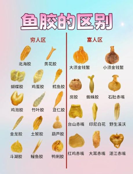 黄唇鱼胶多少钱一斤_黄唇鱼胶真假怎么辨别-第2张图片-山城妙识