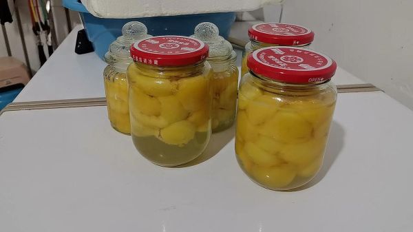 杏罐头怎么做_杏罐头家庭自制方法-第3张图片-山城妙识