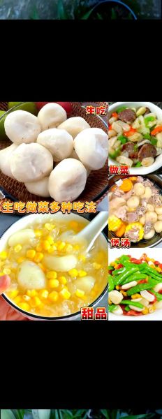 马蹄荸荠怎么做好吃_马蹄荸荠的家常做法-第1张图片-山城妙识