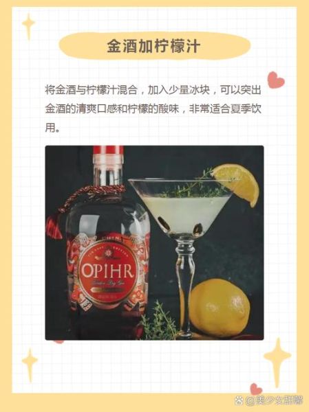 金酒怎么喝_金酒兑什么好喝-第2张图片-山城妙识