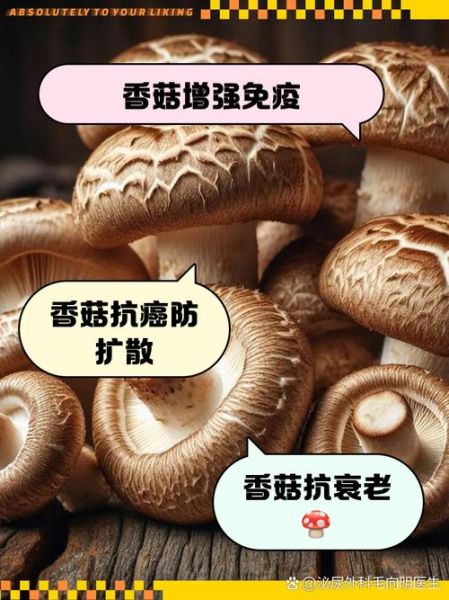 香菇的功效与作用禁忌_什么人不能吃香菇-第3张图片-山城妙识