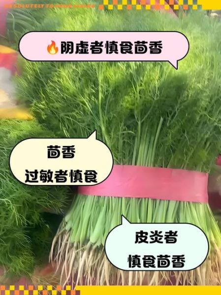 茴香菜哪些人不能吃_孕妇能吃茴香菜吗-第1张图片-山城妙识