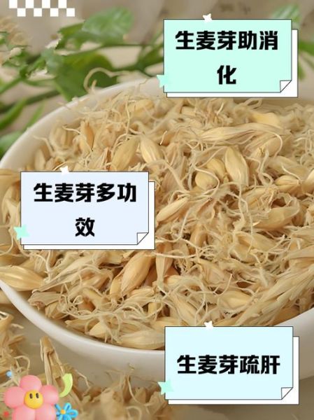 生麦芽的功效与作用_生麦芽能回奶吗-第2张图片-山城妙识