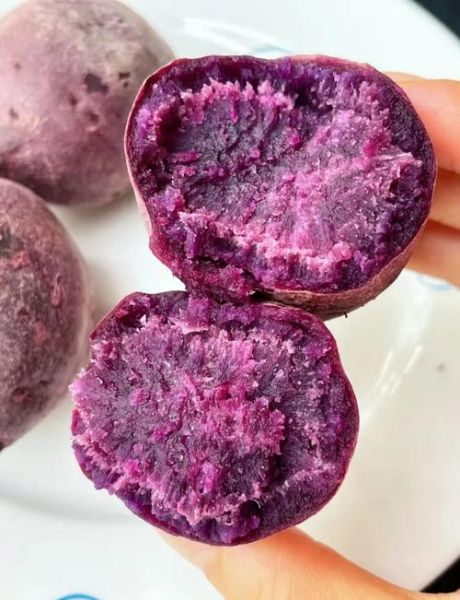 紫红薯是转基因吗_紫红薯和紫薯区别-第2张图片-山城妙识