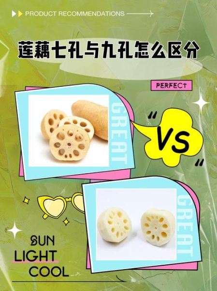 7孔藕和9孔藕的区别_11孔藕适合做什么菜-第1张图片-山城妙识 7孔藕和9孔藕的区别_11孔藕适合做什么菜-第1张图片-山城妙识