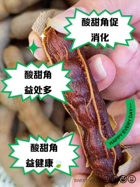 甜酸角的功效与作用_甜酸角的营养价值有哪些-第1张图片-山城妙识 甜酸角的功效与作用_甜酸角的营养价值有哪些-第1张图片-山城妙识