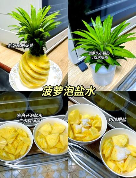 菠萝怎么泡_菠萝泡多久可以吃-第1张图片-山城妙识