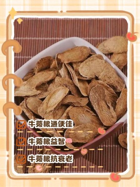 牛蒡根配什么泡茶喝壮阳_牛蒡根壮阳茶配方大全-第1张图片-山城妙识